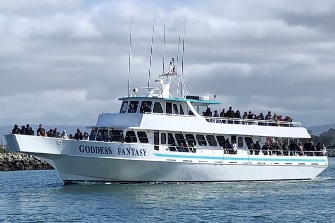 Monterey Bay Whale Watching - Final Thoughts: Who Should Book This Tour?