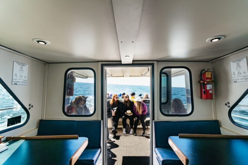 Monterey Bay: Whale Watching Tour - Who Will Love This Tour