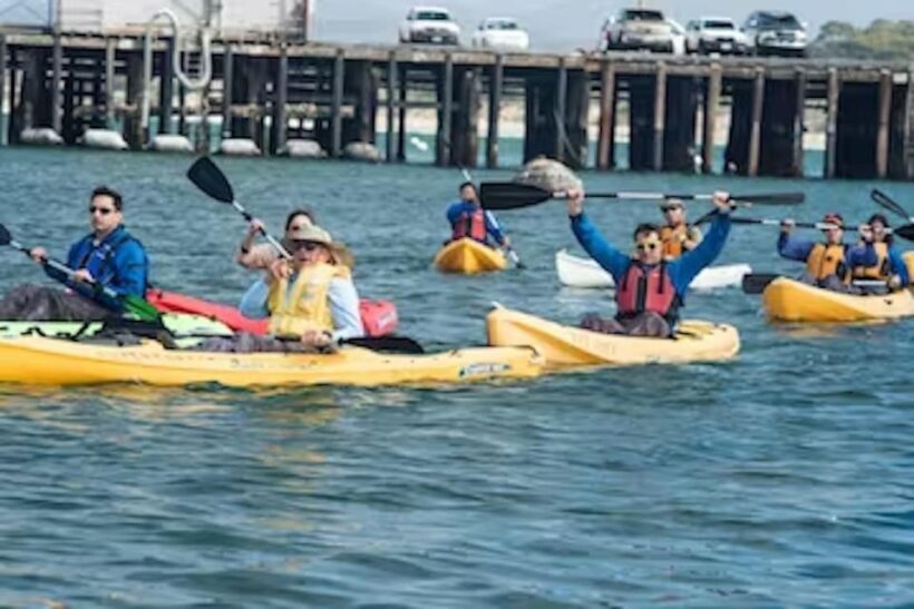 Monterey: Cannery Row Kayak Tour - An In-Depth Look at the Cannery Row Kayak Tour