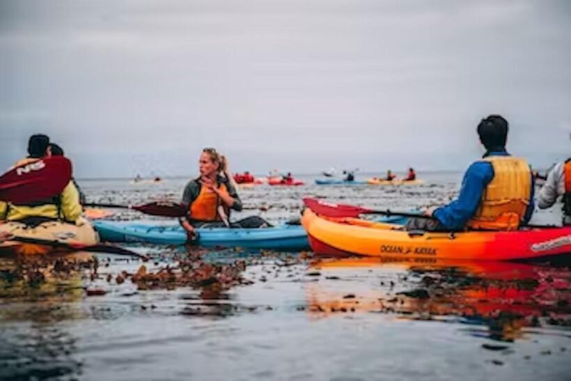 Monterey: Cannery Row Kayak Tour - Final Thoughts