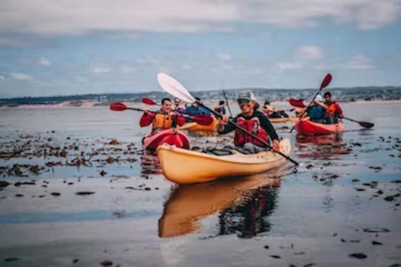 Monterey: Cannery Row Kayak Tour - Authentic Experiences: What People Are Saying