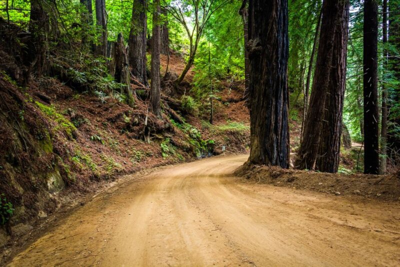 Monterey, Carmel, 17 Mile Dr, Big Sur & Mcway Falls Pvt Tour - Who Is This Tour Best For?