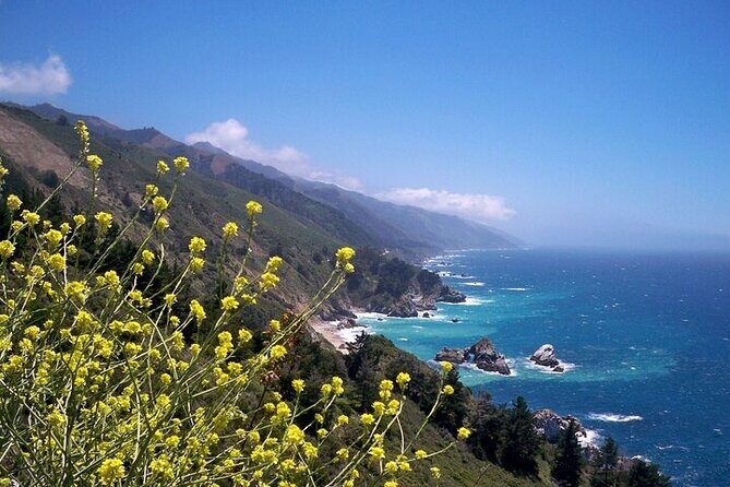 Monterey Carmel Big Sur Pebble Beach by Luxury Vehicle 5 hrs~ - Key Points