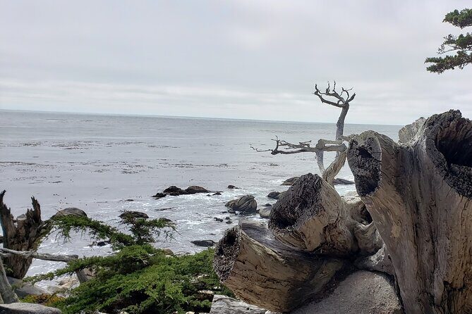 Monterey & Carmel Sightseeing Private Tour (10-Hour minimum) - Who Will Love This Tour?