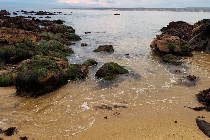 Monterey & Carmel Sightseeing Private Tour (10-Hour minimum) - FAQ