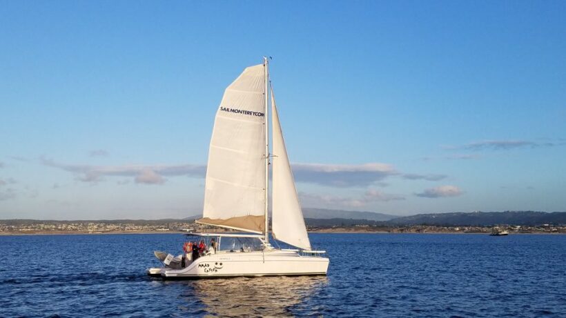 Monterey: Catamaran Sailing Cruise - The Experience: What to Expect on the Monterey Catamaran Cruise