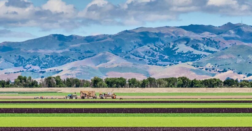 Monterey County Salinas Valley Farm Tour - FAQ