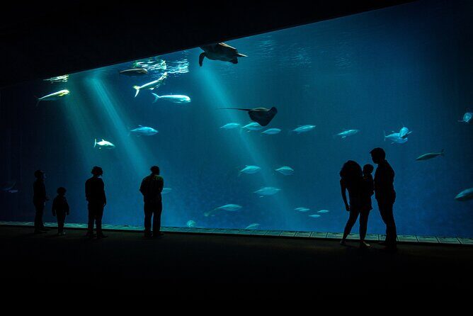 Monterey: Ocean Paradise, Trolley and Walking Tour - Final Thoughts: Is it Worth It?