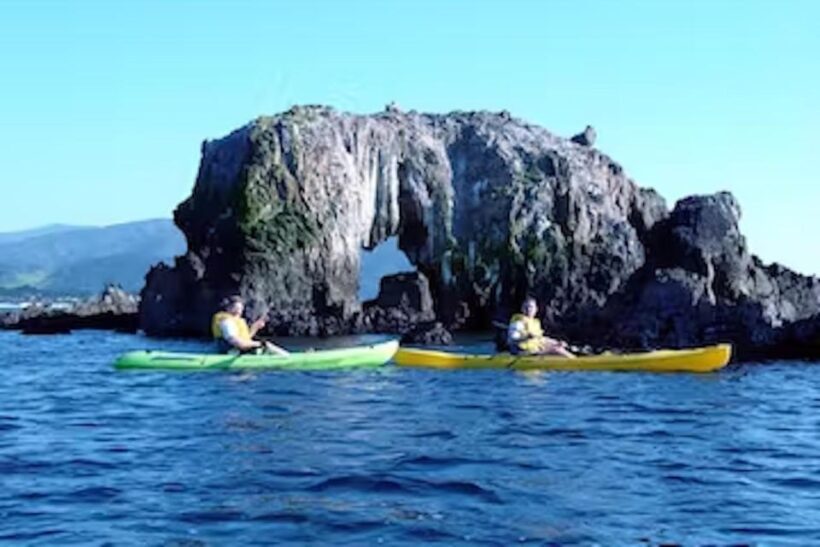 Monterey: Pebble Beach Kayak Tour - An Authentic Monterey Experience on the Water