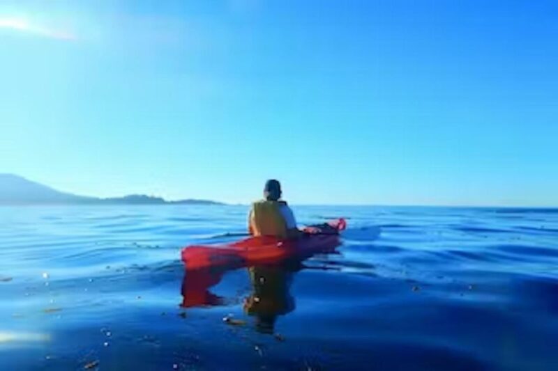 Monterey: Pebble Beach Kayak Tour - Key Points