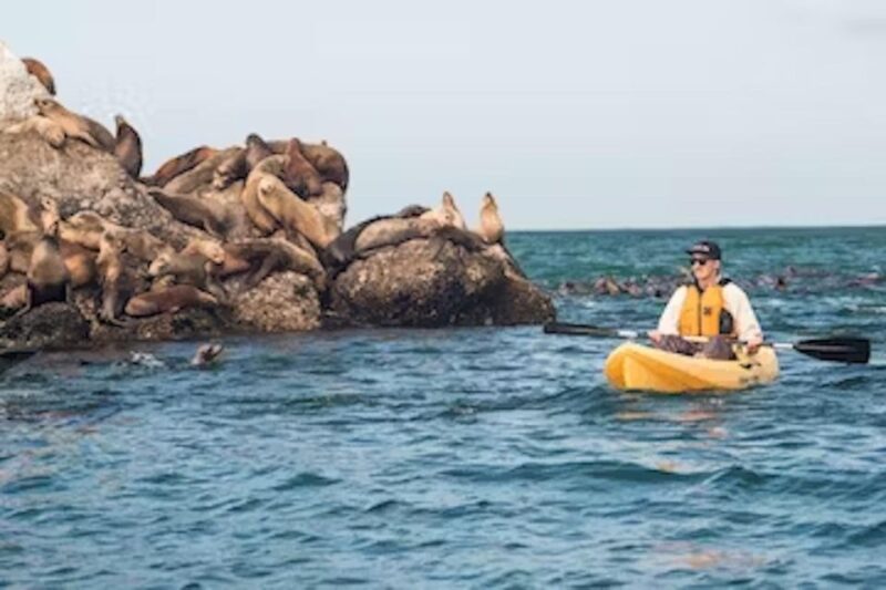 Monterey: Pebble Beach Kayak Tour - What to Expect on the Tour