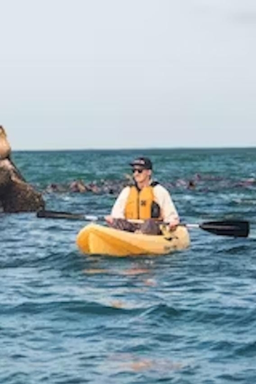 Monterey: Pebble Beach Kayak Tour - The Guide and Group Experience
