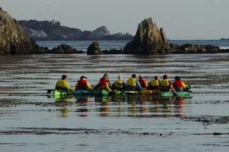 Monterey: Pebble Beach Kayak Tour - Pricing and Value