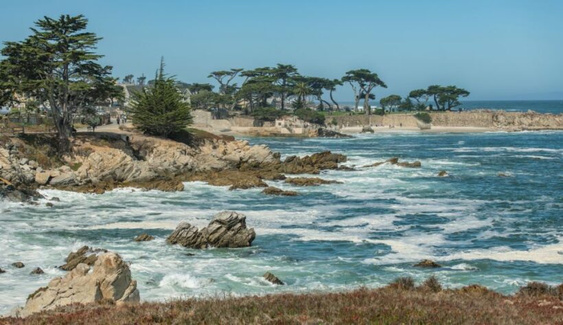 Monterey Peninsula Sightseeing Tour including 17 Mile Drive - An In-Depth Look at the Tour Experience
