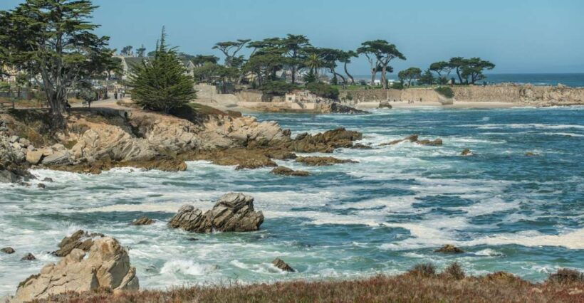 Monterey Peninsula Sightseeing Tour including 17 Mile Drive - What Travelers Say