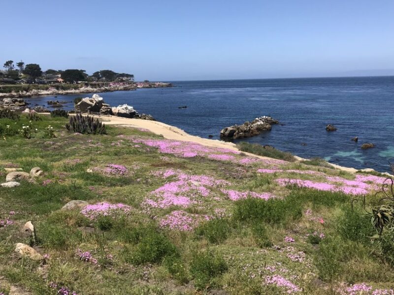 Monterey Peninsula Sightseeing Tour including 17 Mile Drive - What Makes This Tour Stand Out?