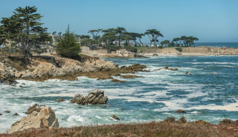 Monterey Peninsula Sightseeing Tour including 17 Mile Drive - Analyzing the Cost and Value