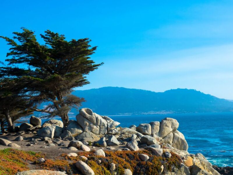 Monterey Peninsula Sightseeing Tour including 17 Mile Drive - Practical Tips for Travelers