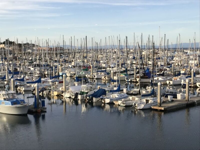 Monterey Peninsula Sightseeing Tour including 17 Mile Drive - Authentic Experiences and Testimonials