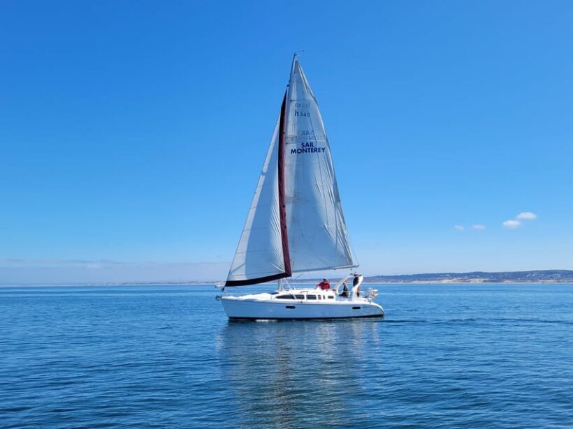 Monterey: Private Whale Watching/Sailing Tour for 6 - Key Points