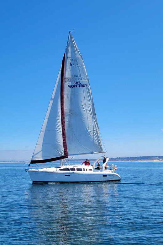 Monterey: Private Whale Watching/Sailing Tour for 6 - The Itinerary and What You Can Expect