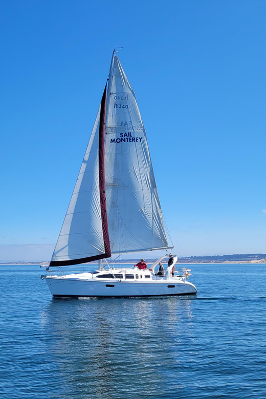 Monterey: Private Whale Watching/Sailing Tour for 6 - The Details: What’s Included and What to Keep in Mind