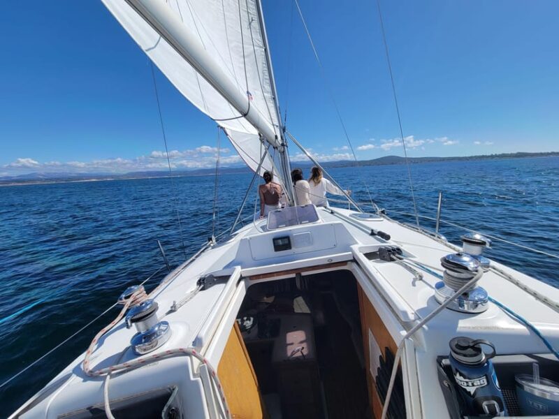 Monterey: Private Whale Watching/Sailing Tour for 6 - Who Would Love This Tour?