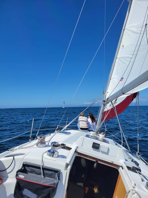 Monterey: Private Whale Watching/Sailing Tour for 6 - Final Words