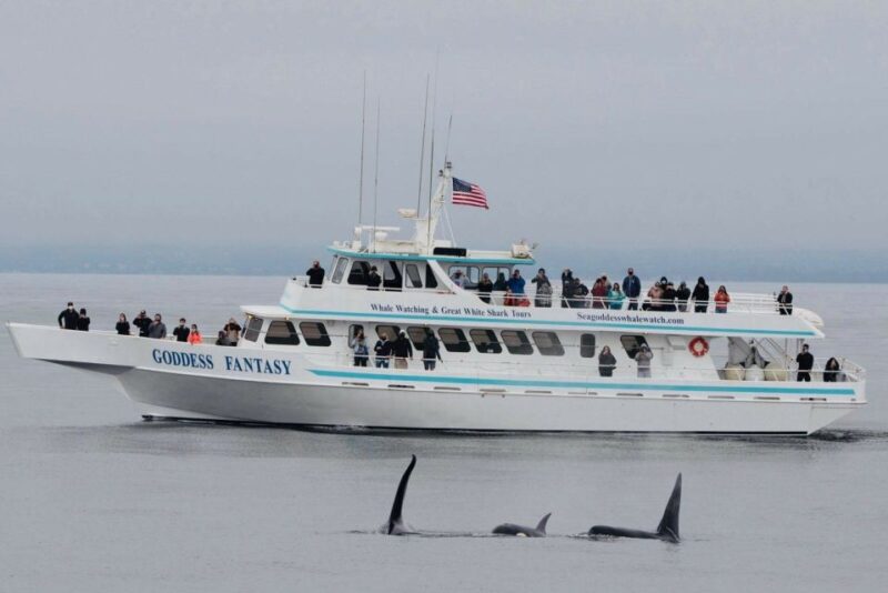 Monterey: Whale Watching Cruise - FAQs