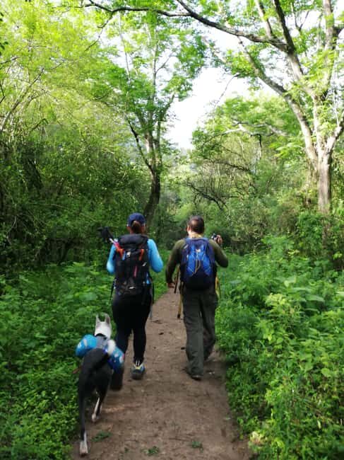 Monterrey: Enjoy a refreshing water crossing Cerro Agujerado - The Experience Guides and Reviews