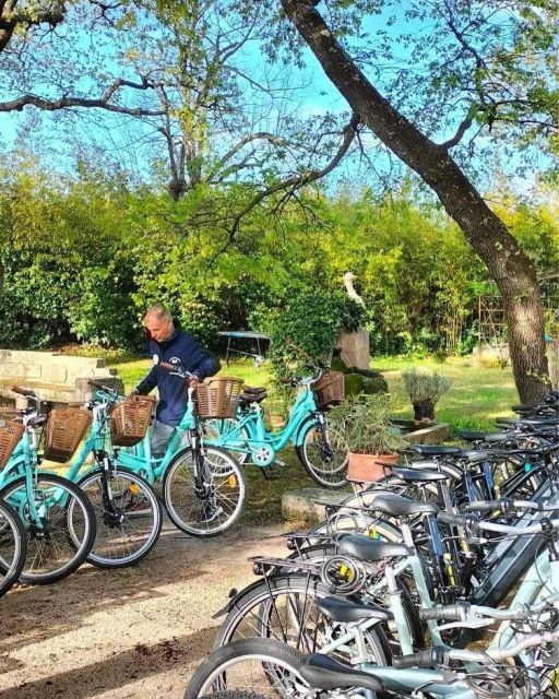 Monteux: Bike Rental - Insider Tips for the Best Cycling Routes
