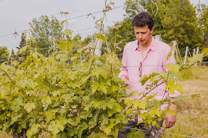 Montevecchio Isolani wine tasting experience - Practical Tips for Visitors