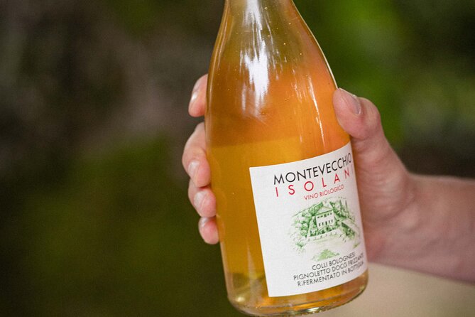 Montevecchio Isolani wine tasting experience - Final Thoughts