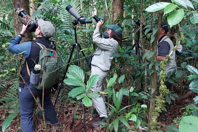 Monteverde Birdwatching Experience - Location and Tour Details