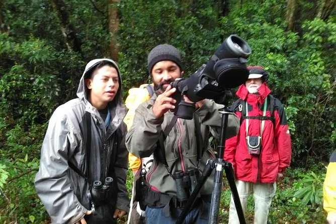 Monteverde Birdwatching Experience - Participant Sentiments and Recommendations