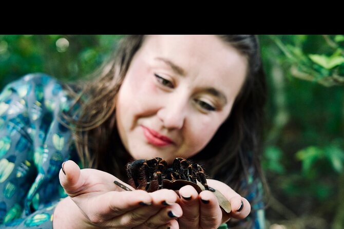 Monteverde Butterfly Gardens Tour - Customer Feedback and Ratings