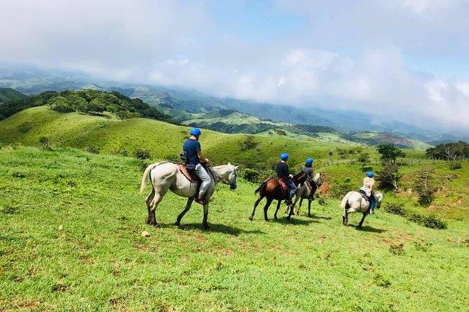 Monteverde Cloud Forest Horseback Riding - Departure Times and Duration