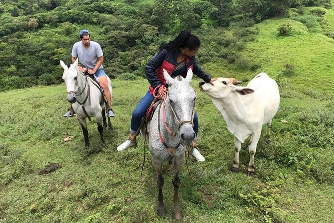 Monteverde Cloud Forest Horseback Riding - Participation Requirements
