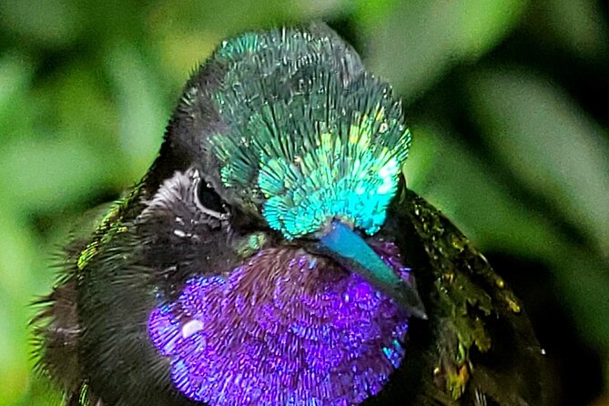 Monteverde Cloud Forest Nature Tour - Transportation and Parking