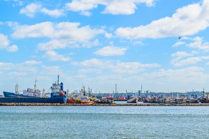 Montevideo City Tour EARLY BOOKING -20 OFF for Cruise Passengers - Cancellation Policy