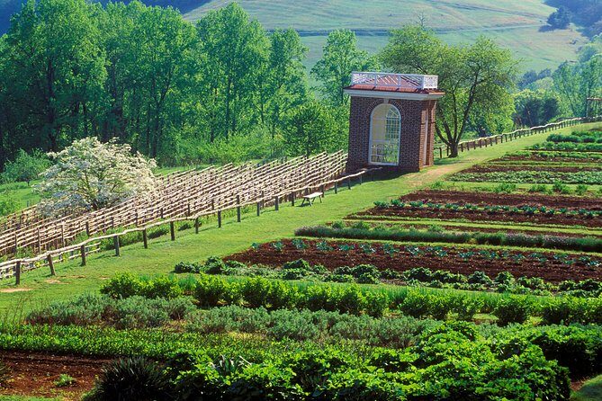 Monticello, VA Private Tour - Review Insights: What Travelers Say