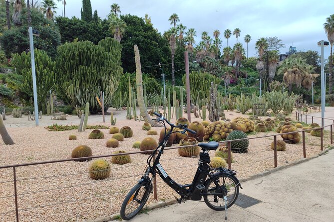 Montjuic Barcelona: Panoramic eBike Tour Views & Tapas stop - Is This Tour Right for You?