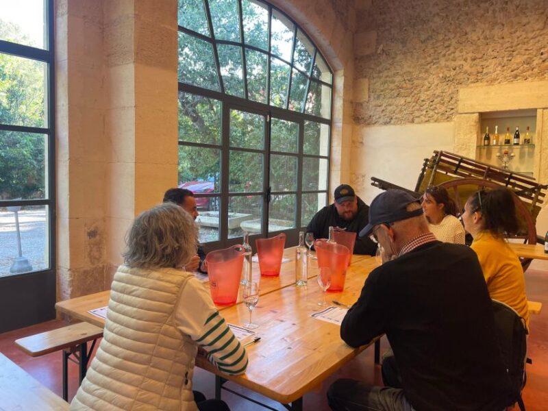 Montpellier: Half-Day Wine Tour with Lunch - Who Will Appreciate This Tour?