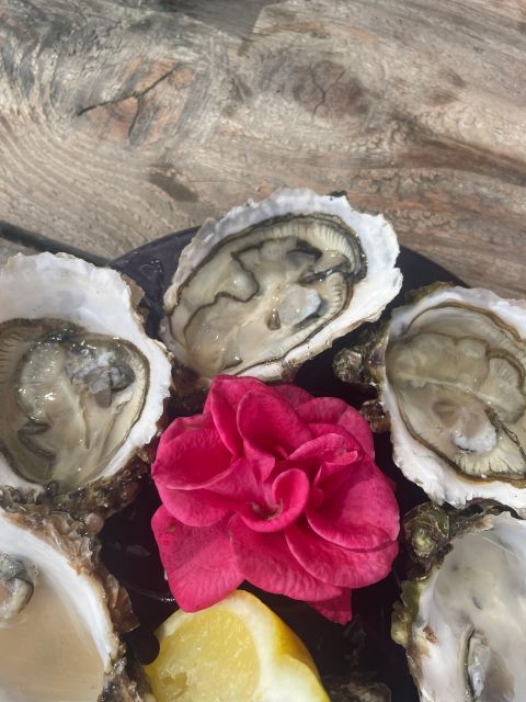 Montpellier: Half-Day Wine Tour with Lunch - FAQ