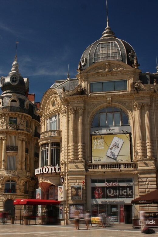 Montpellier - Private Historic Walking tour - Who Should Consider This Tour?