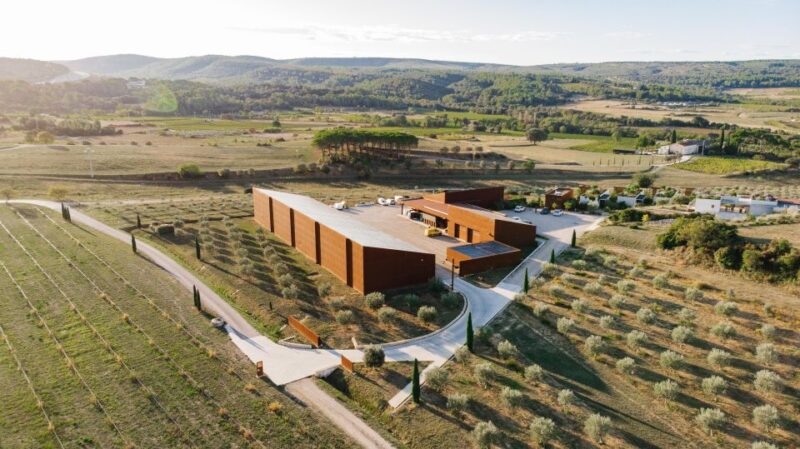 Montpellier : Visit lavender field and an Olive Oil Mill - The Sum Up