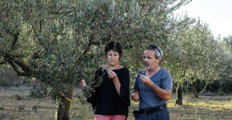 Montpellier : Visit lavender field and an Olive Oil Mill - Frequently Asked Questions