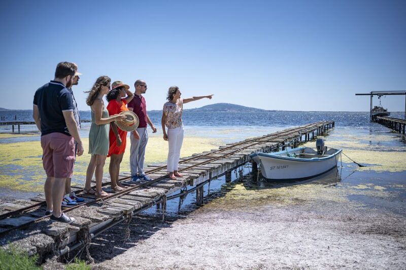 Montpellier Wine and Oyster Tour - The Experience in Context