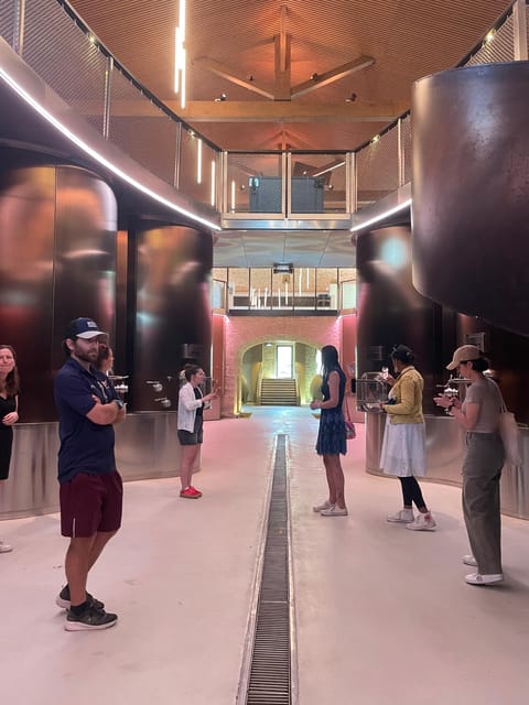 Montpellier : Wine Tour Pic St Loup - Who Will Love This Tour?