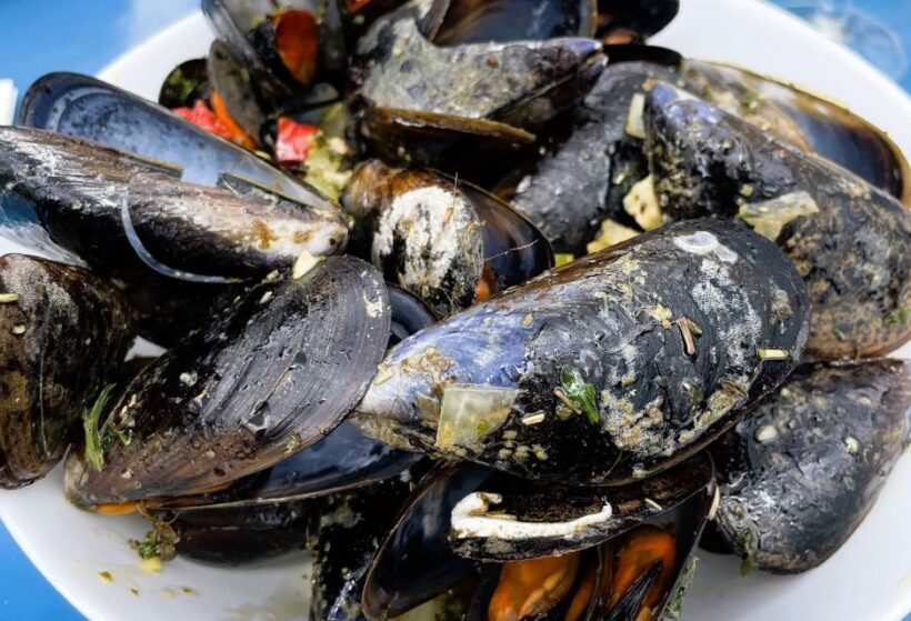 Montpellier:Discover the town of Sète, oysters and vineyards - Sète’s Districts and Natural Beauty